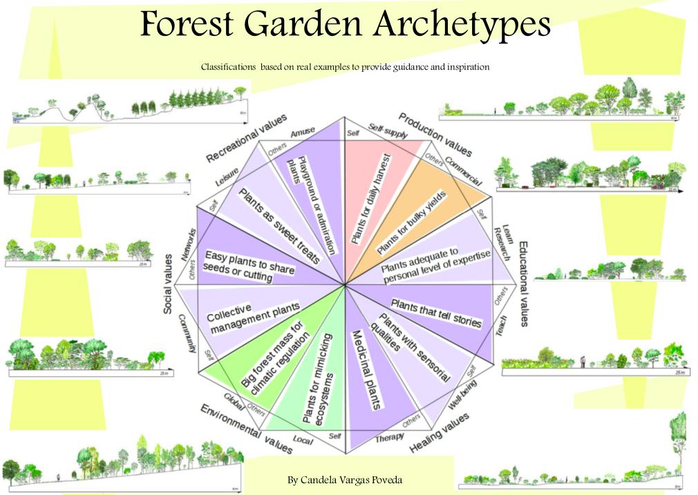 Voedselbos archetypen: overzicht van functies – CircleEcology